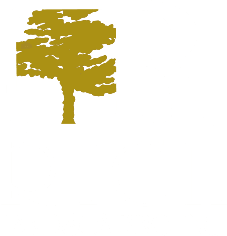 Home - Rich Landscaping